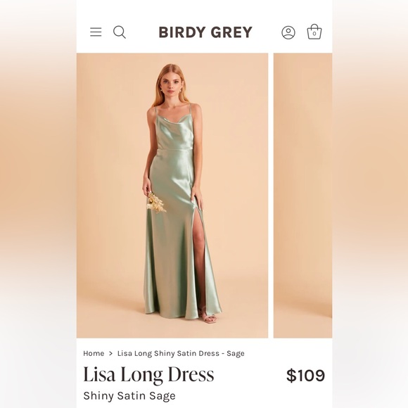 Birdy Grey | Dresses | Birdy Grey Lisa Long Dress In Shiny Satin Sage ...